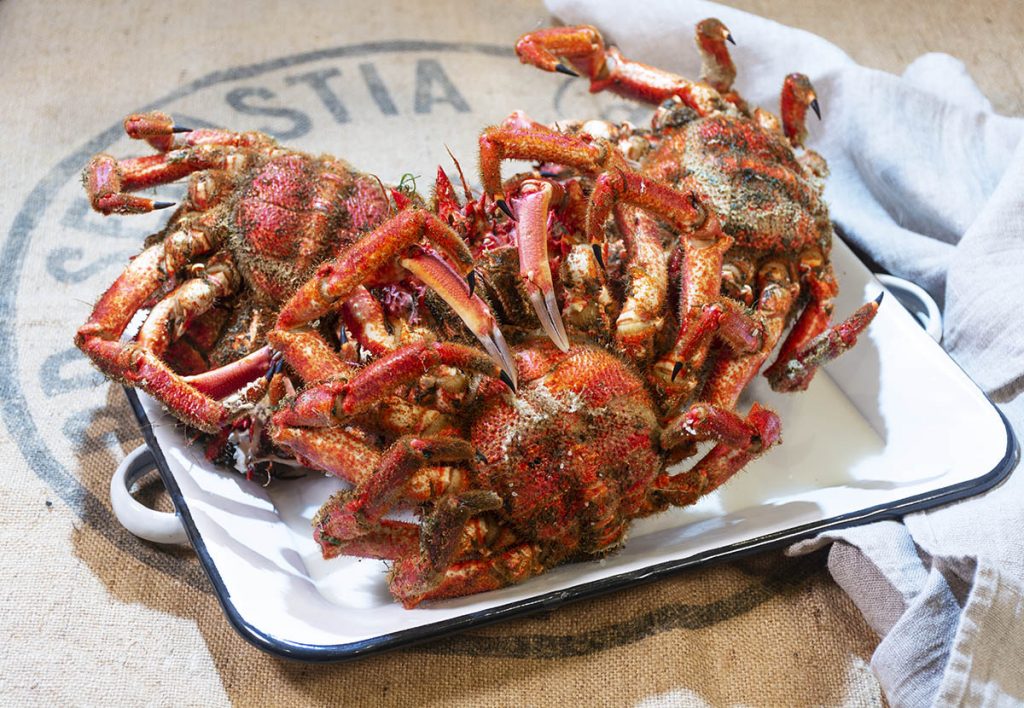 Centolla gallega. Cocción y presentación - La Cocina de Frabisa La ...
